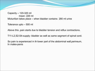 Ureters and bladder | PPT
