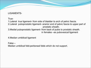Ureters and bladder | PPT
