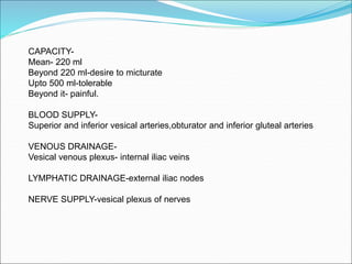 Ureters and bladder | PPT