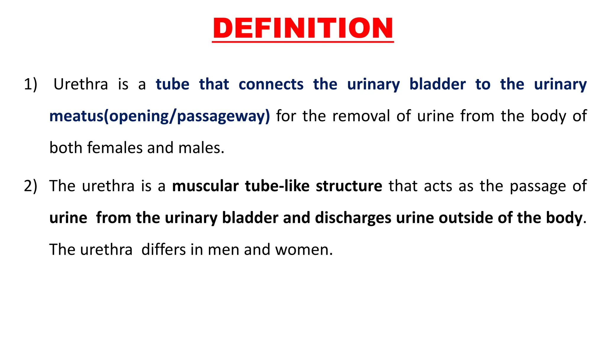 URETHRA.pptx