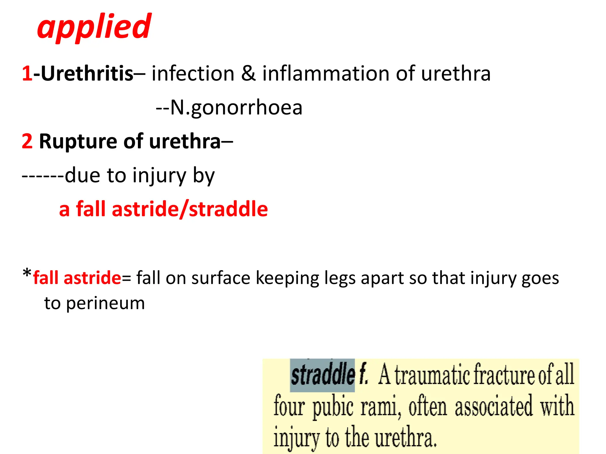 urethra.pptx for studen only dohn iininohub | PPTX
