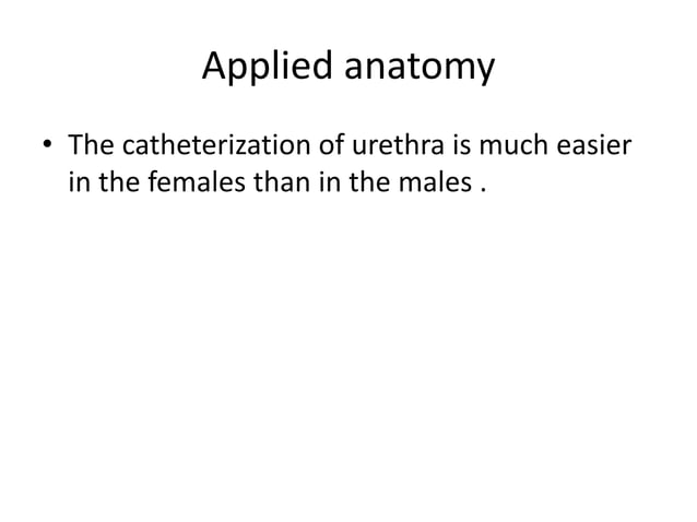 urethra.pptx for studen only dohn iininohub | PPT