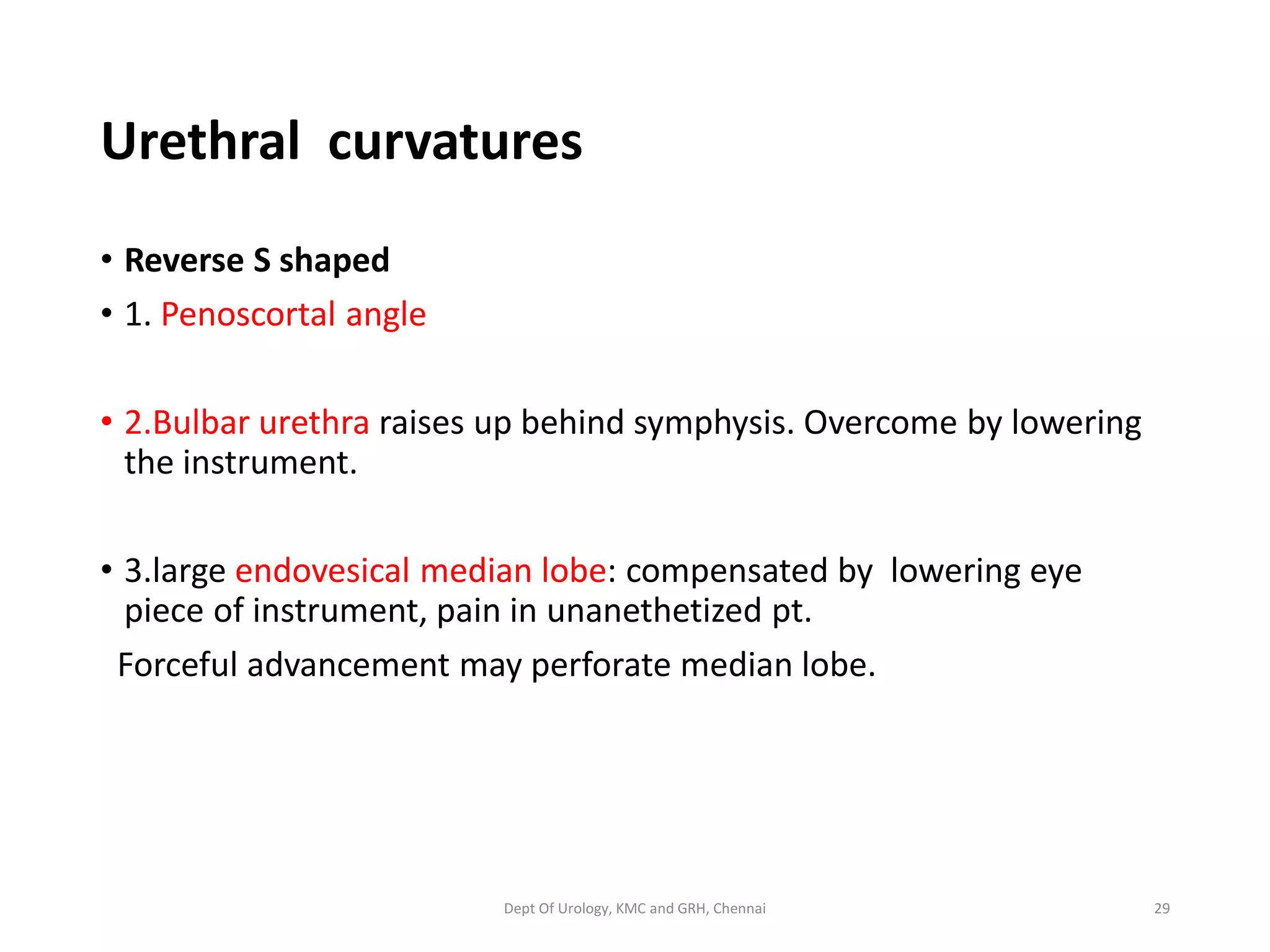 Urethra anatomy 1 | PDF