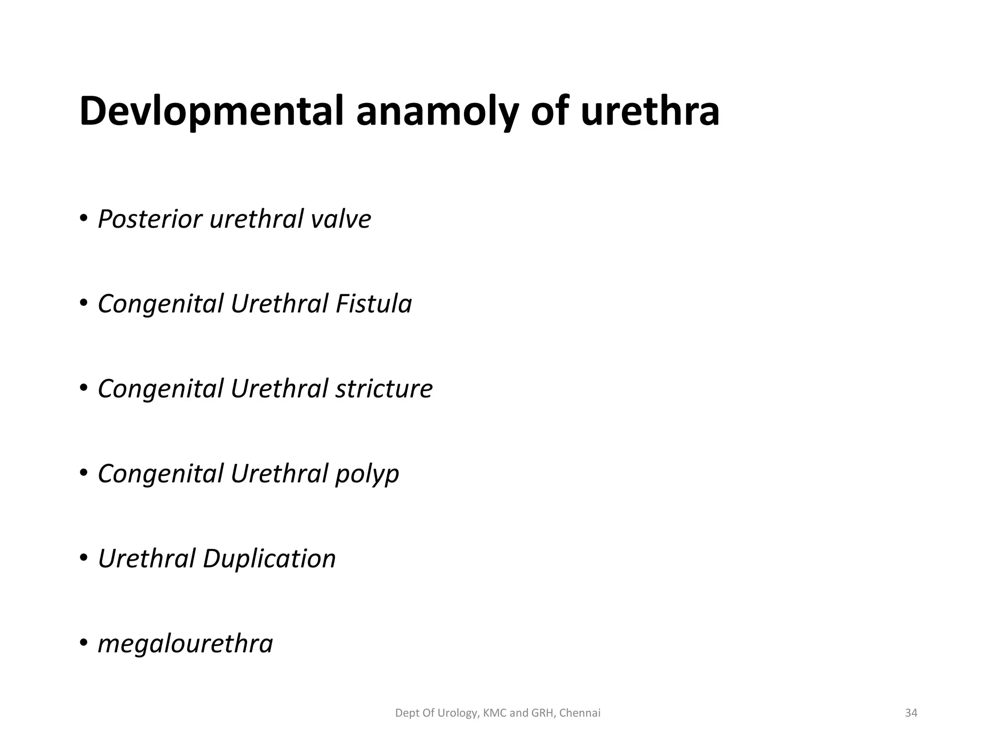 Urethra anatomy 1 | PDF