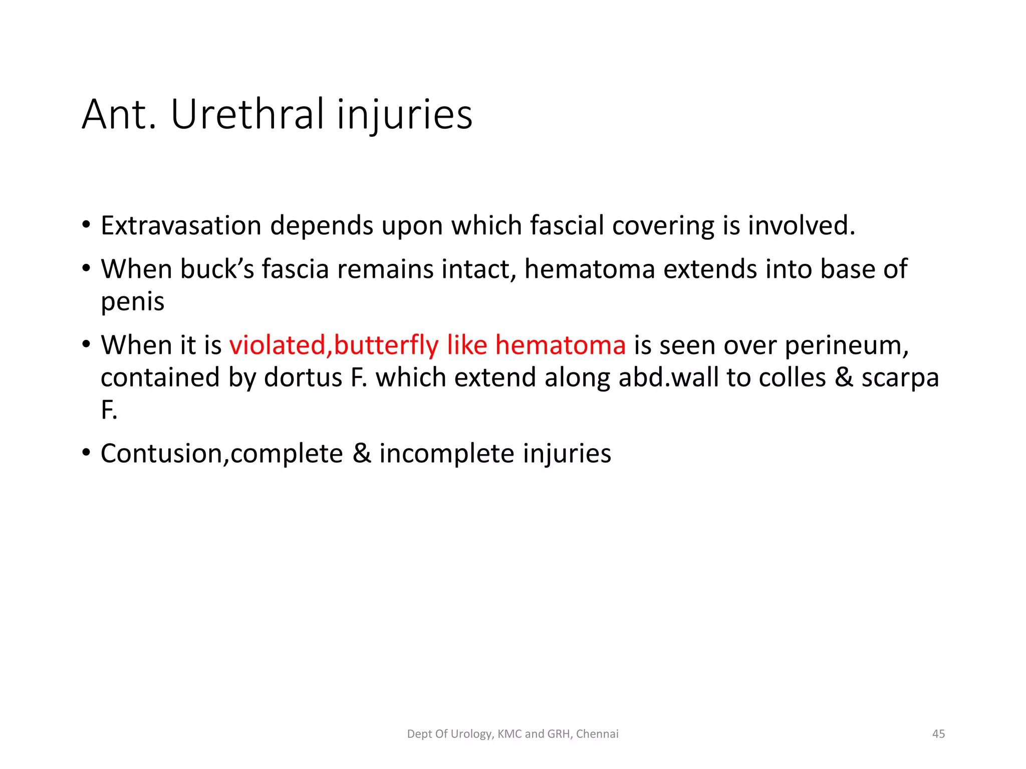 Urethra anatomy 1 | PDF