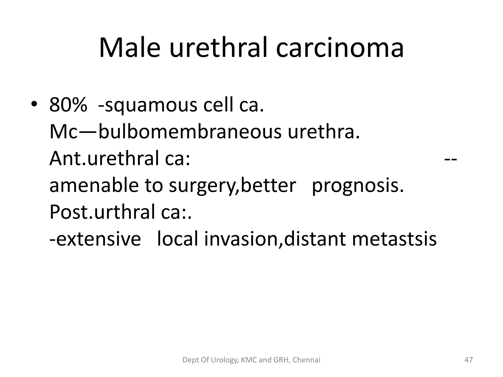 Urethra anatomy 2 | PDF