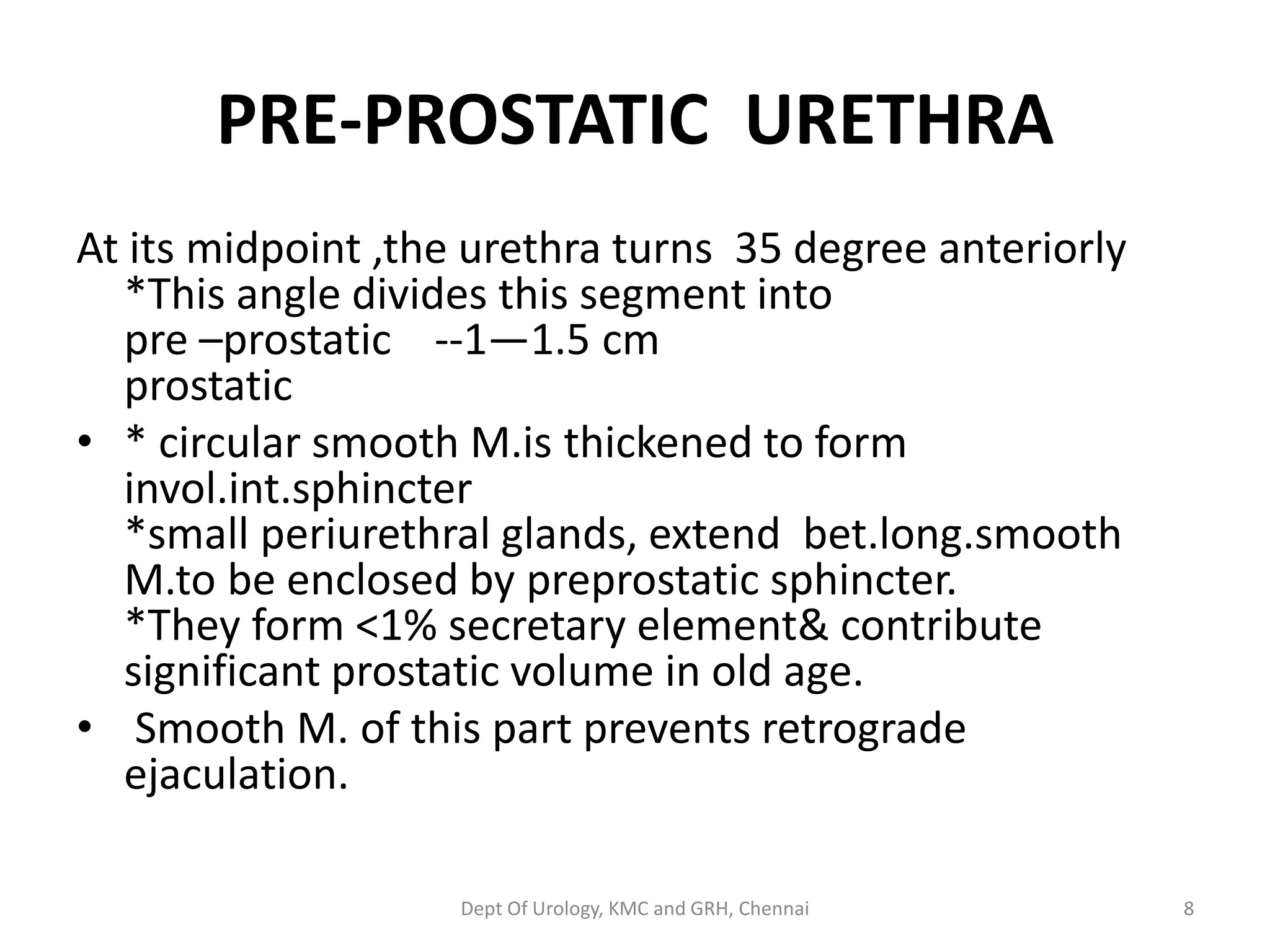 Urethra anatomy 2 | PDF