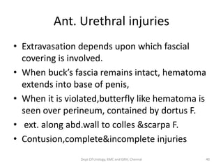 Urethra anatomy 2 | PDF