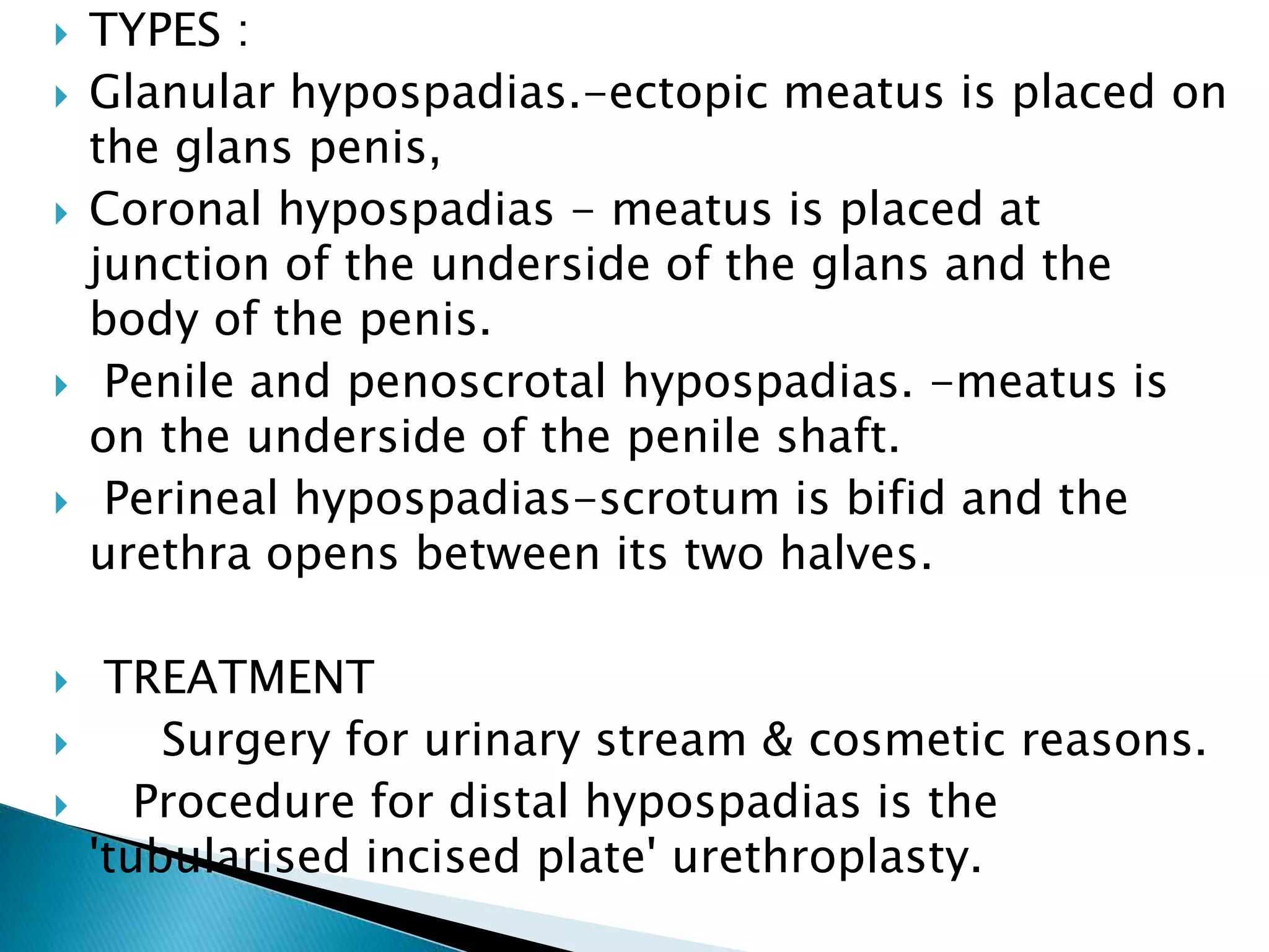 Urethra-WPS Office.pptx
