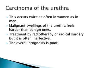 Urethra-WPS Office.pptx