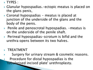 Urethra-WPS Office.pptx