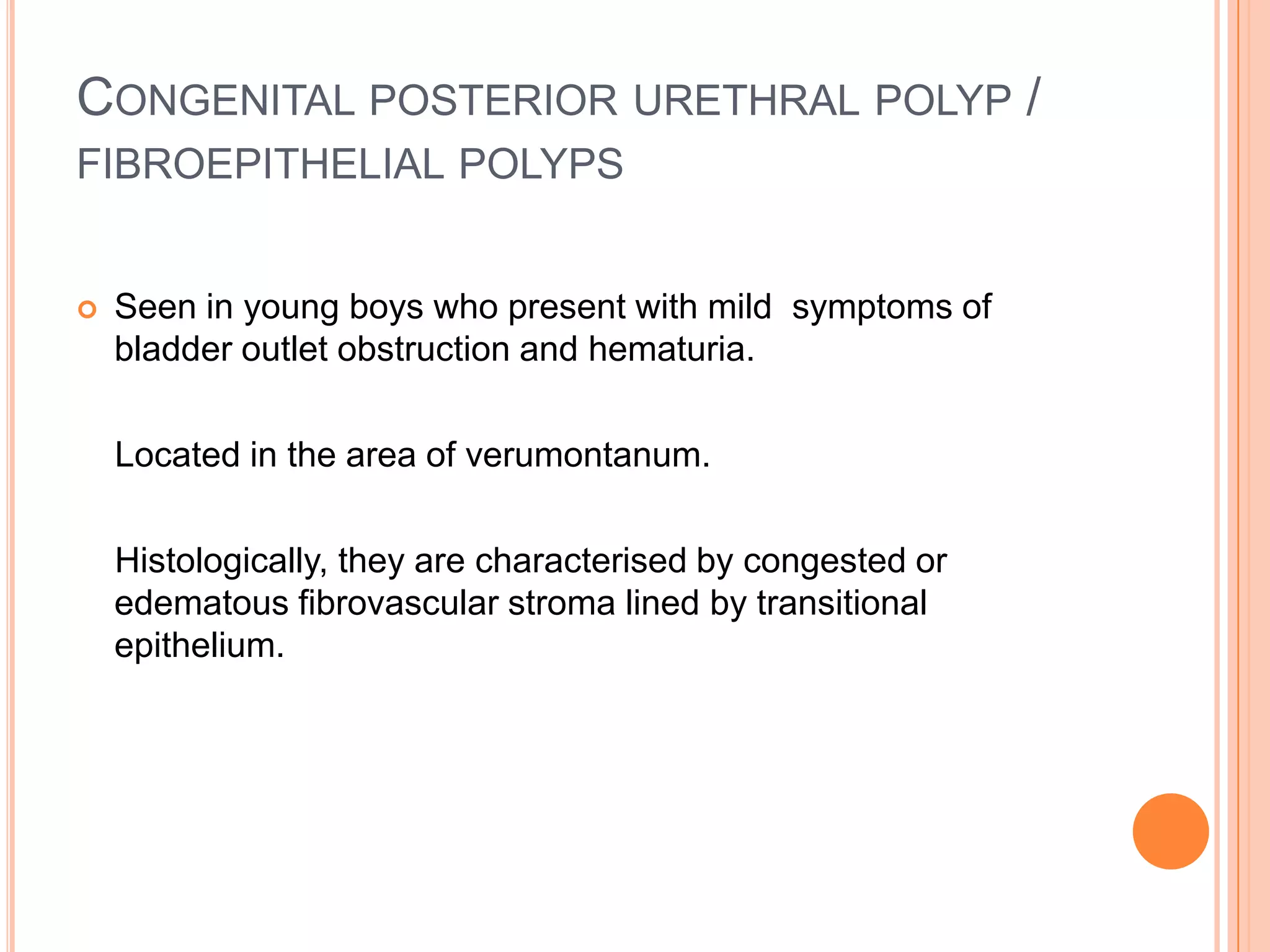 Urethra and male genital system | PPTX