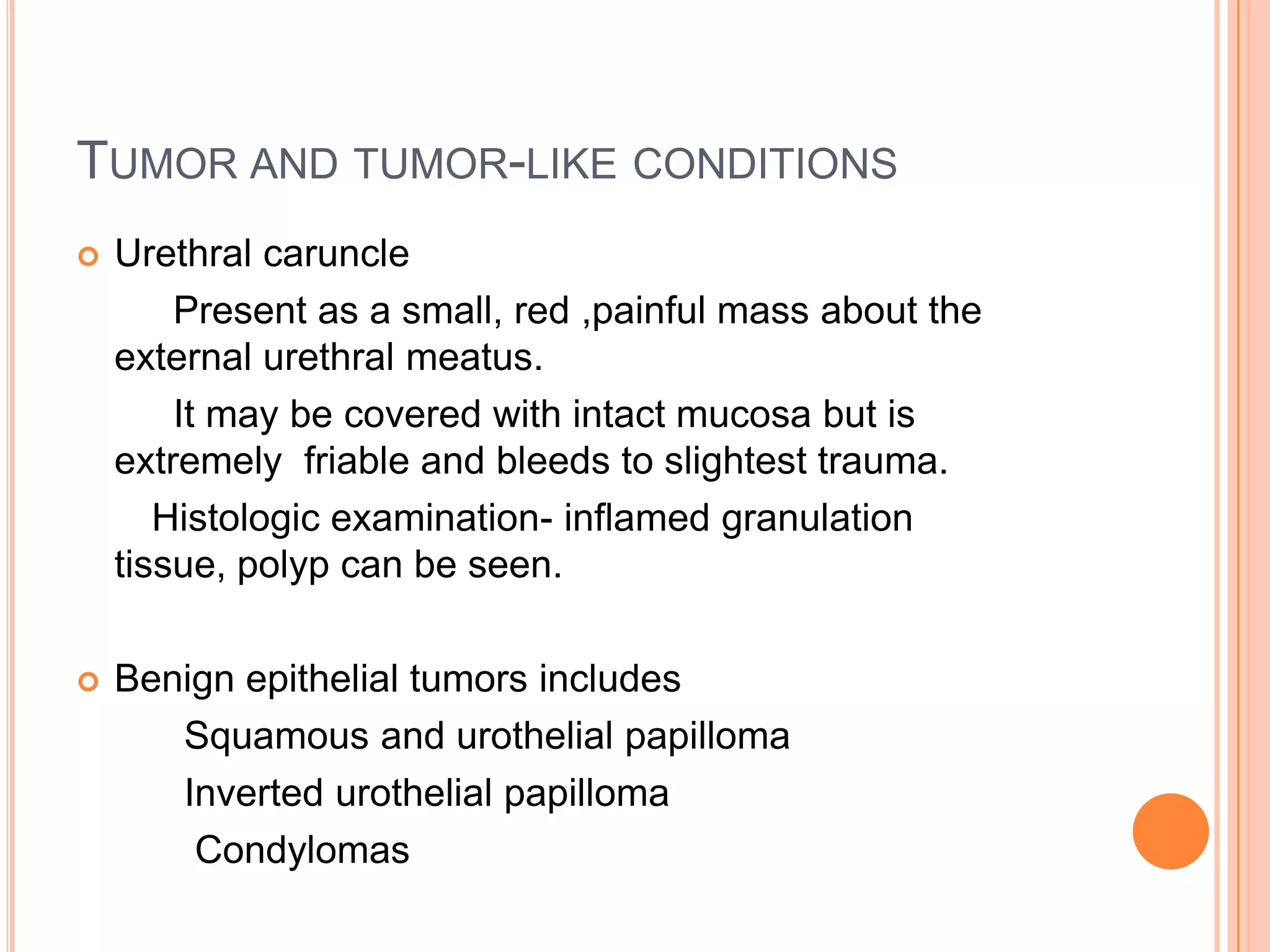 Urethra and male genital system | PPTX