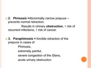 Urethra and male genital system | PPTX