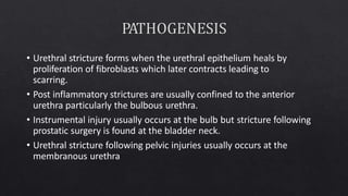 Urethral-Stricture-By-Dr-Abdul-Rehman.pptx
