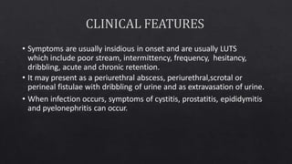 Urethral-Stricture-By-Dr-Abdul-Rehman.pptx