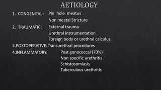 Urethral-Stricture-By-Dr-Abdul-Rehman.pptx