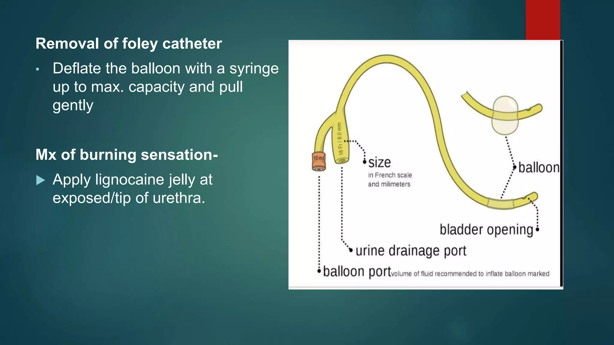 Urethral catheterisation | PPTX