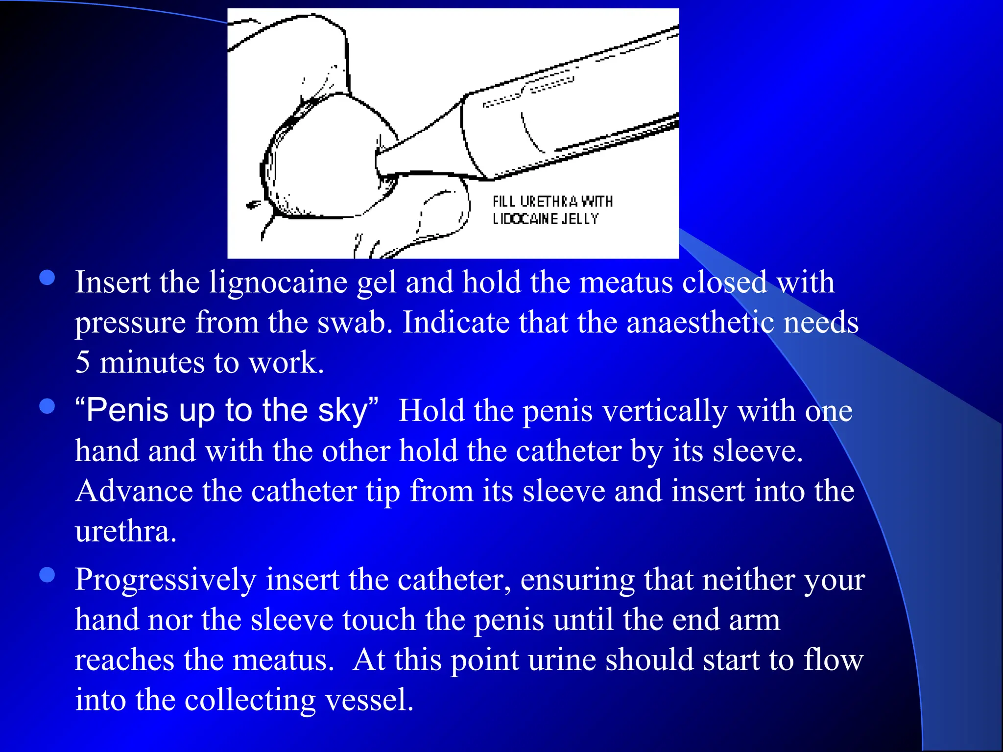 urethralcatheterization-160908091742 (1).pdf