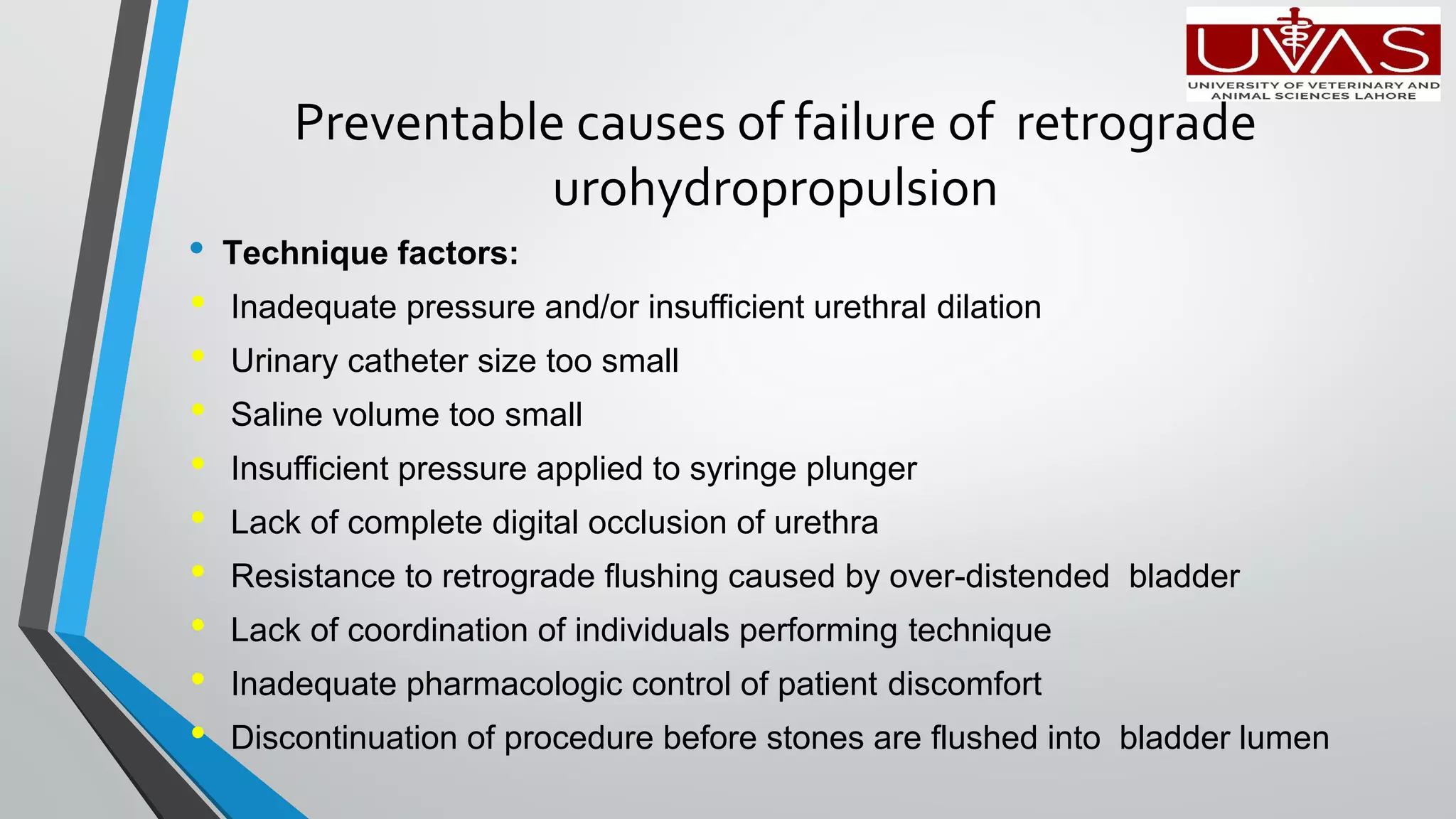 Urethral catheterization in animals | PDF