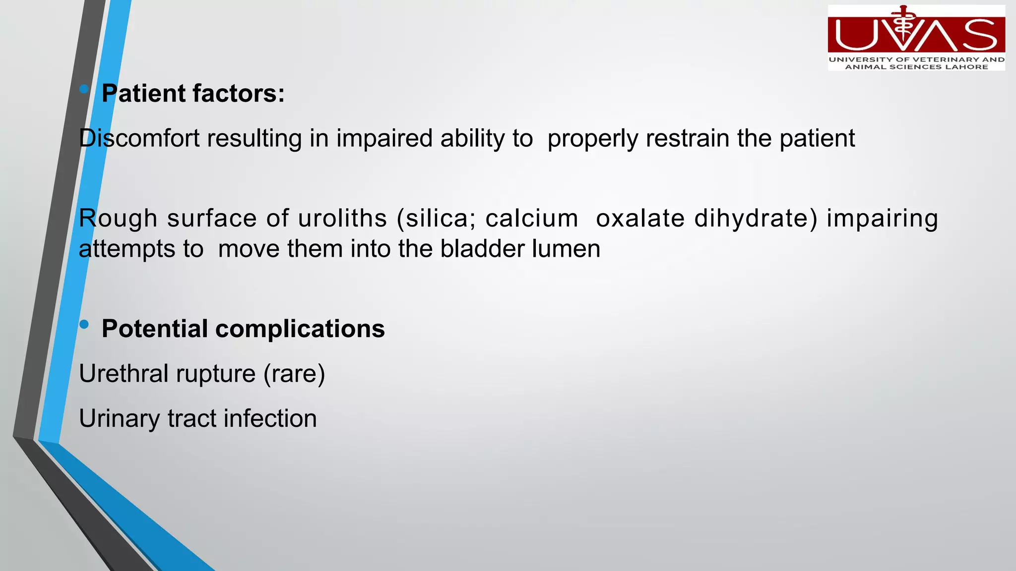 Urethral catheterization in animals | PDF