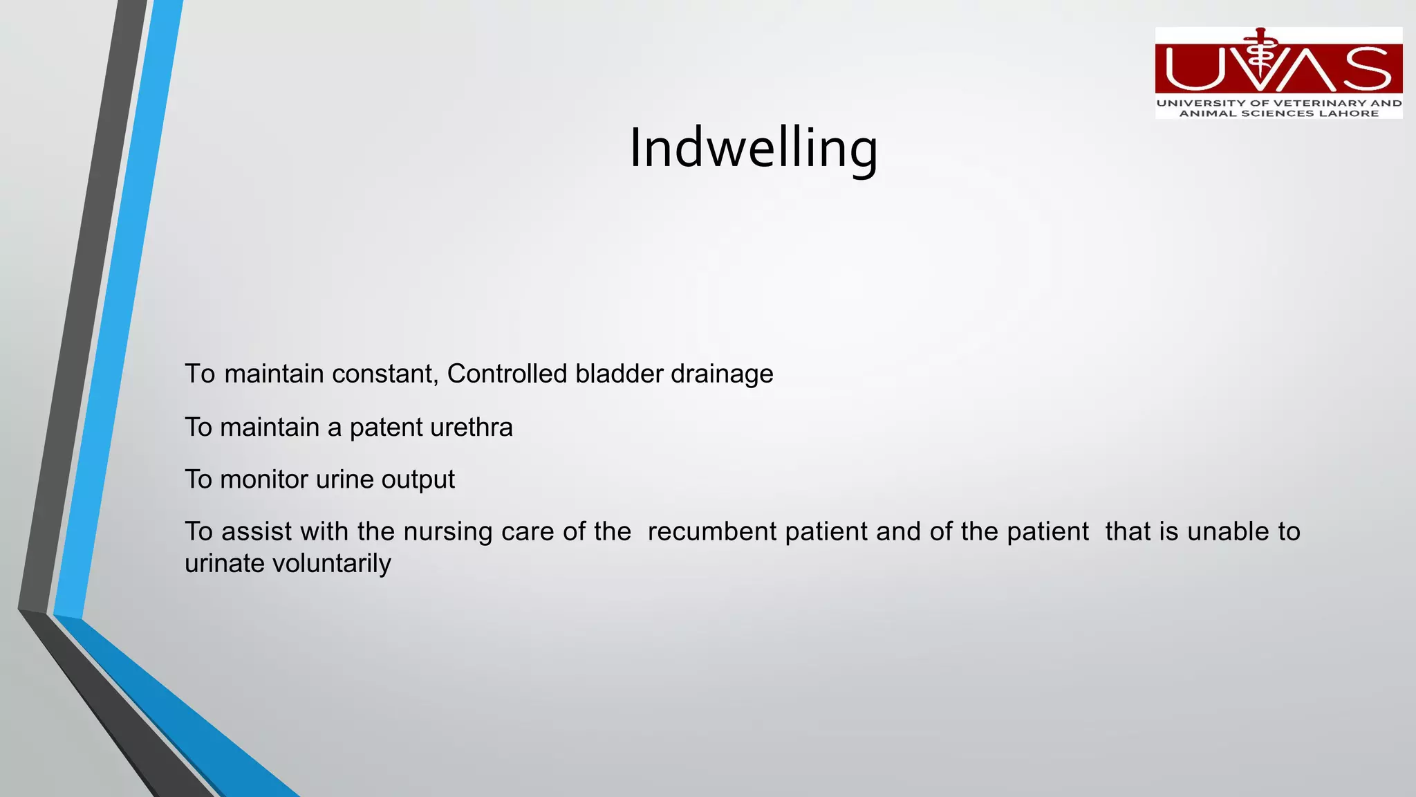 Urethral catheterization in animals | PDF