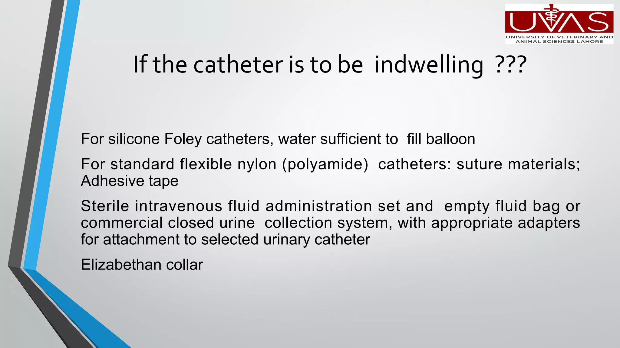 Urethral catheterization in animals | PDF