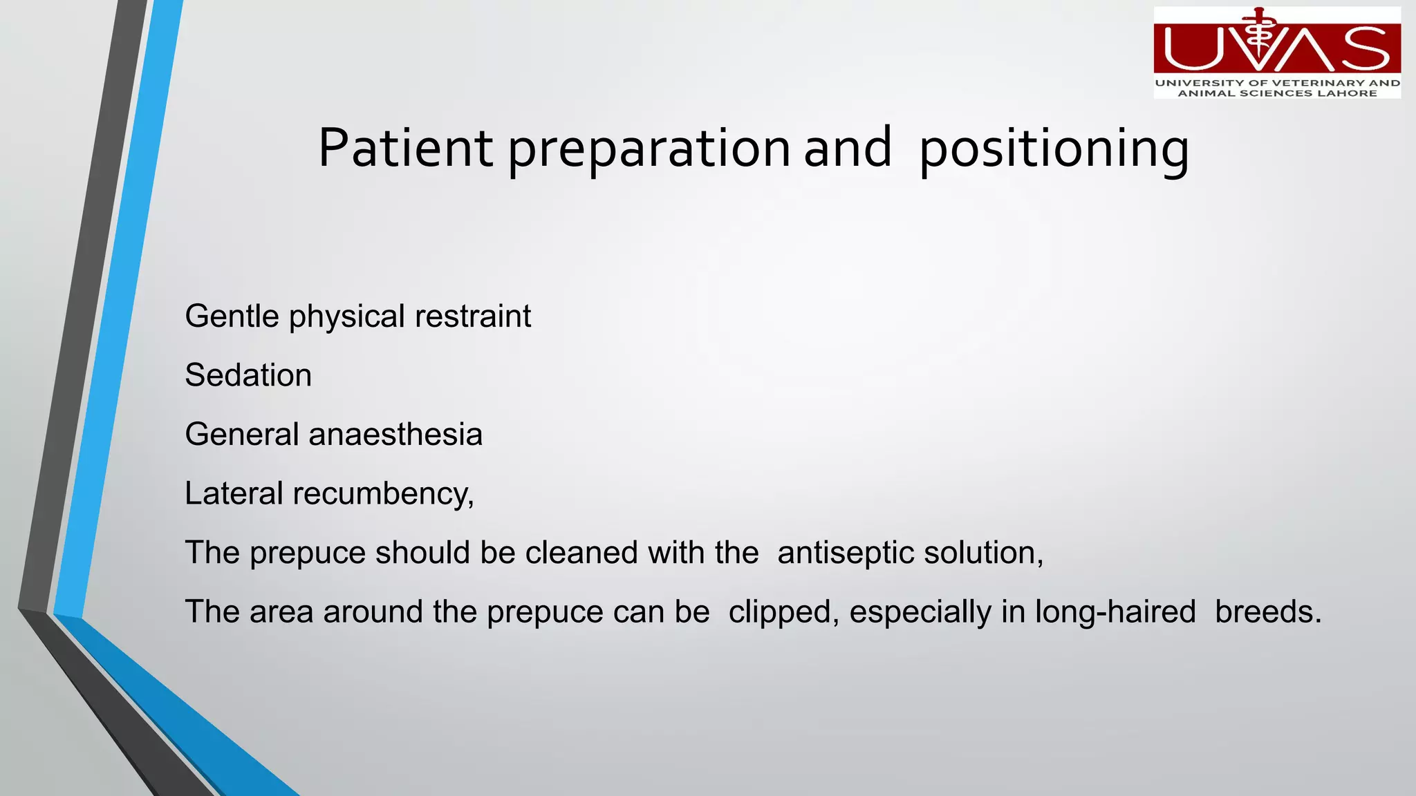 Urethral catheterization in animals | PDF