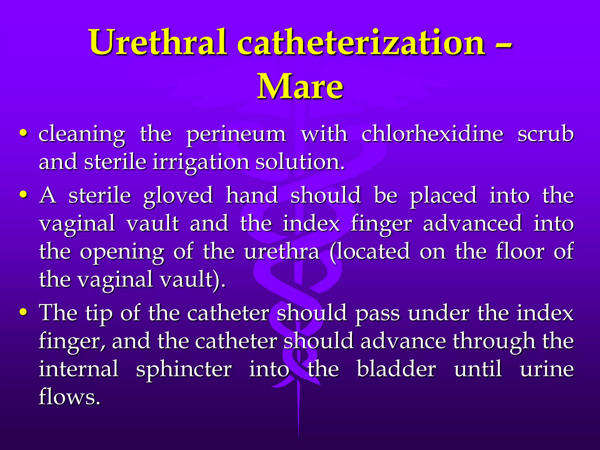 Urethral catheterization – male dog | PPTX