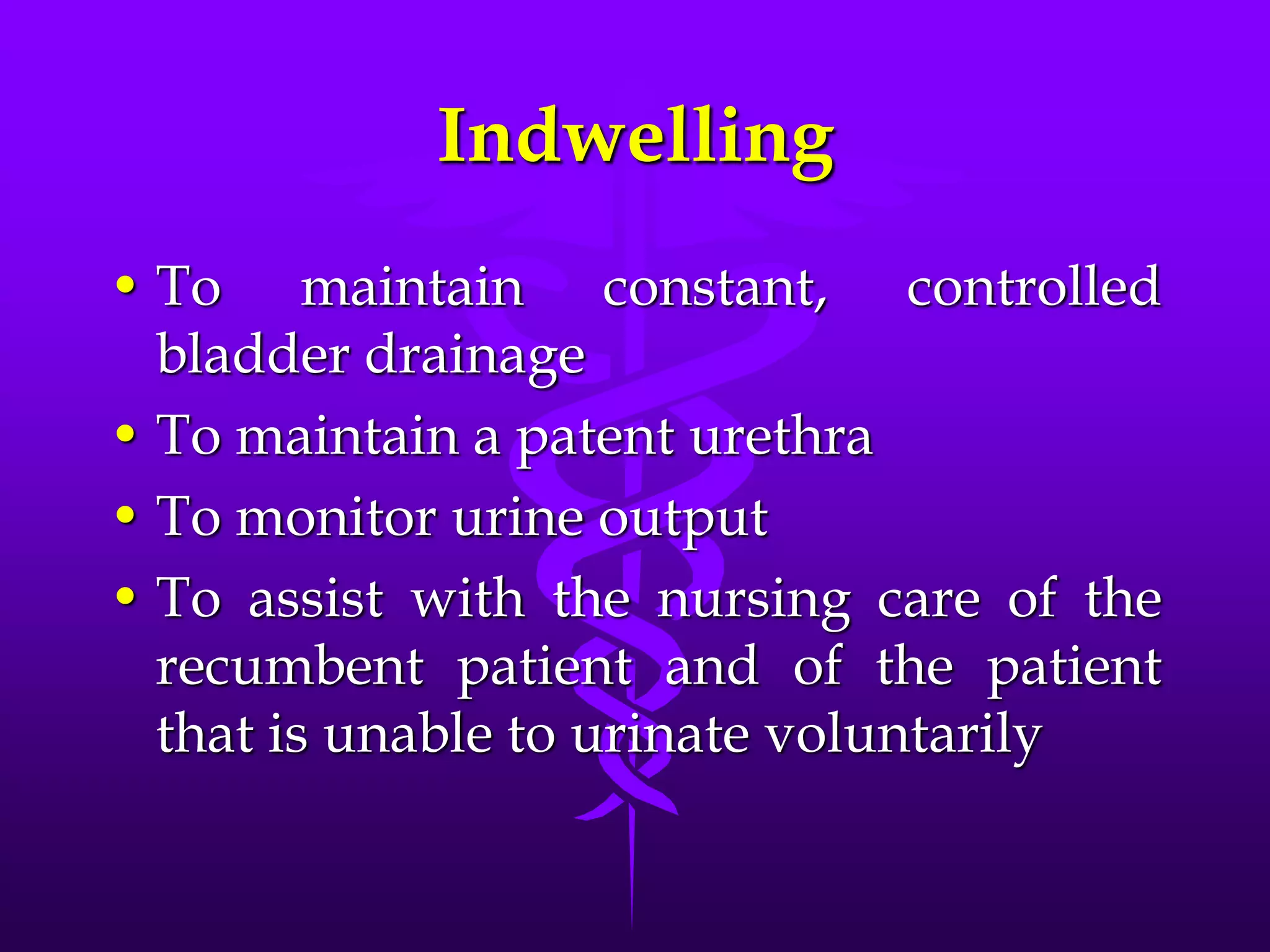 Urethral catheterization – male dog | PPTX