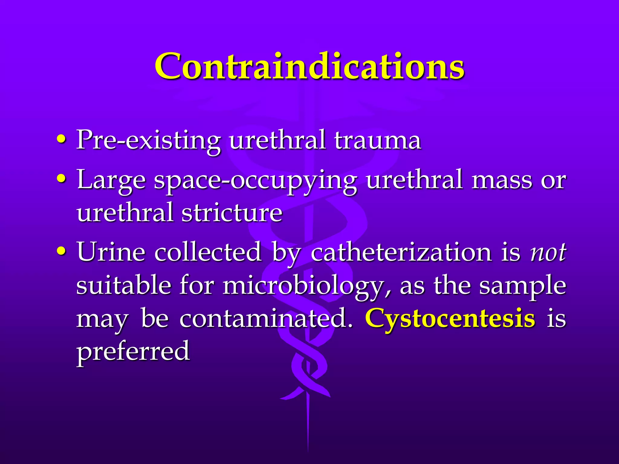 Urethral catheterization – male dog | PPTX