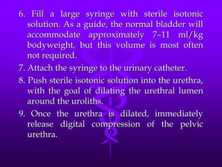 Urethral catheterization – male dog | PPTX