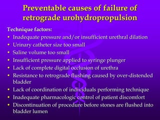 Urethral catheterization – male dog | PPTX