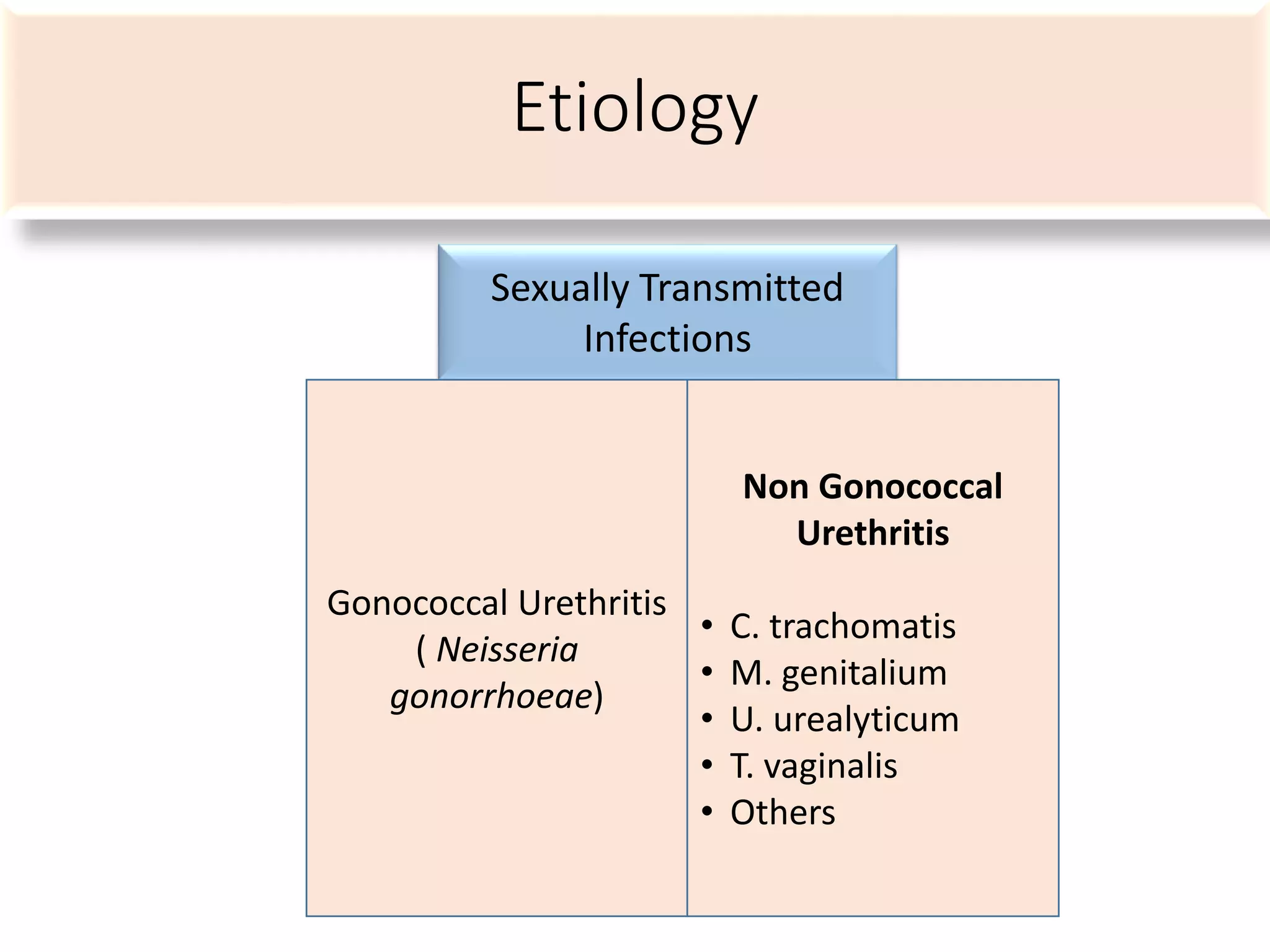 Approach to urethral discharge | PPTX
