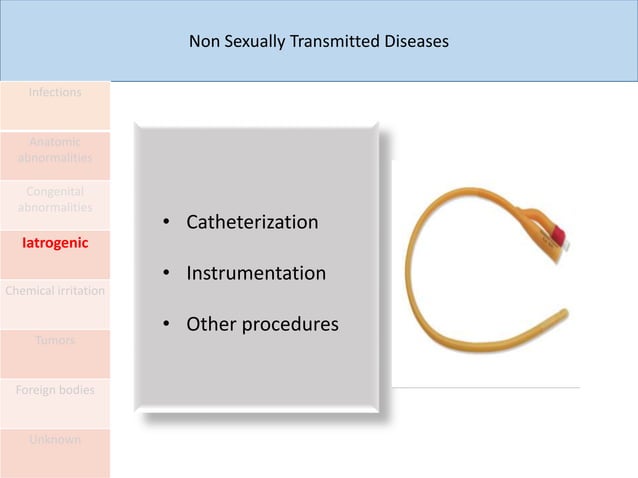 Approach to urethral discharge | PPTX
