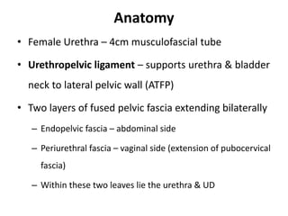 Urethral diverticulum | PPTX
