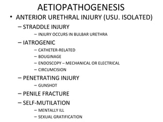 Urethral injury | PPT
