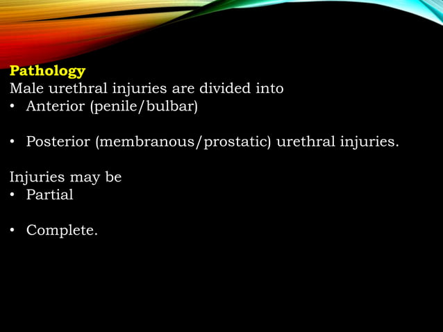 IMAGING OF URETHRAL INJURY | PPTX | Sexual Conditions | Sexual Health