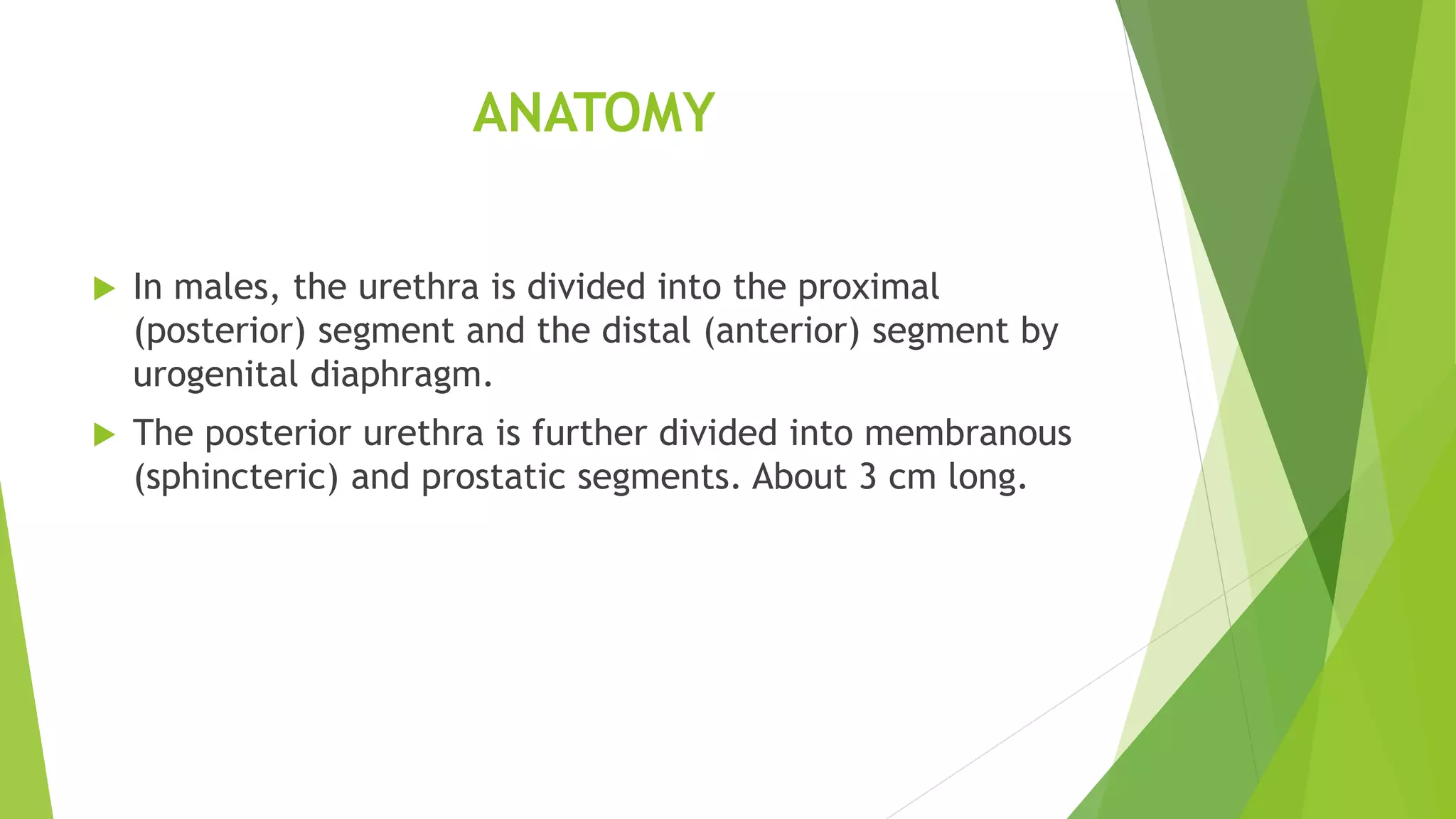 URETHRAL INJURY AND URETHRAL CARUNCLE.pptx