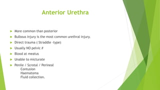 URETHRAL INJURY AND URETHRAL CARUNCLE.pptx