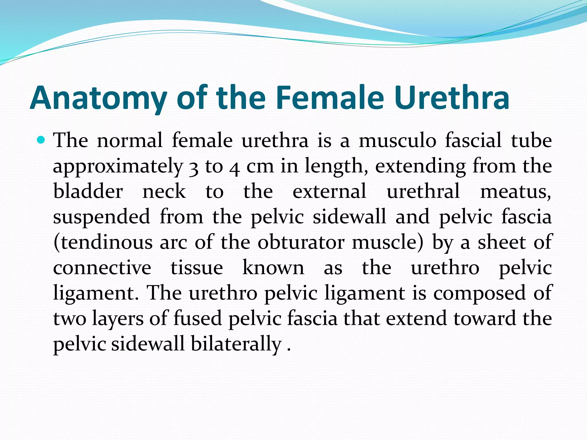 urethral mass DD.pptx | Sexual Conditions | Sexual Health