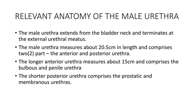 Urethral stricture | PPT