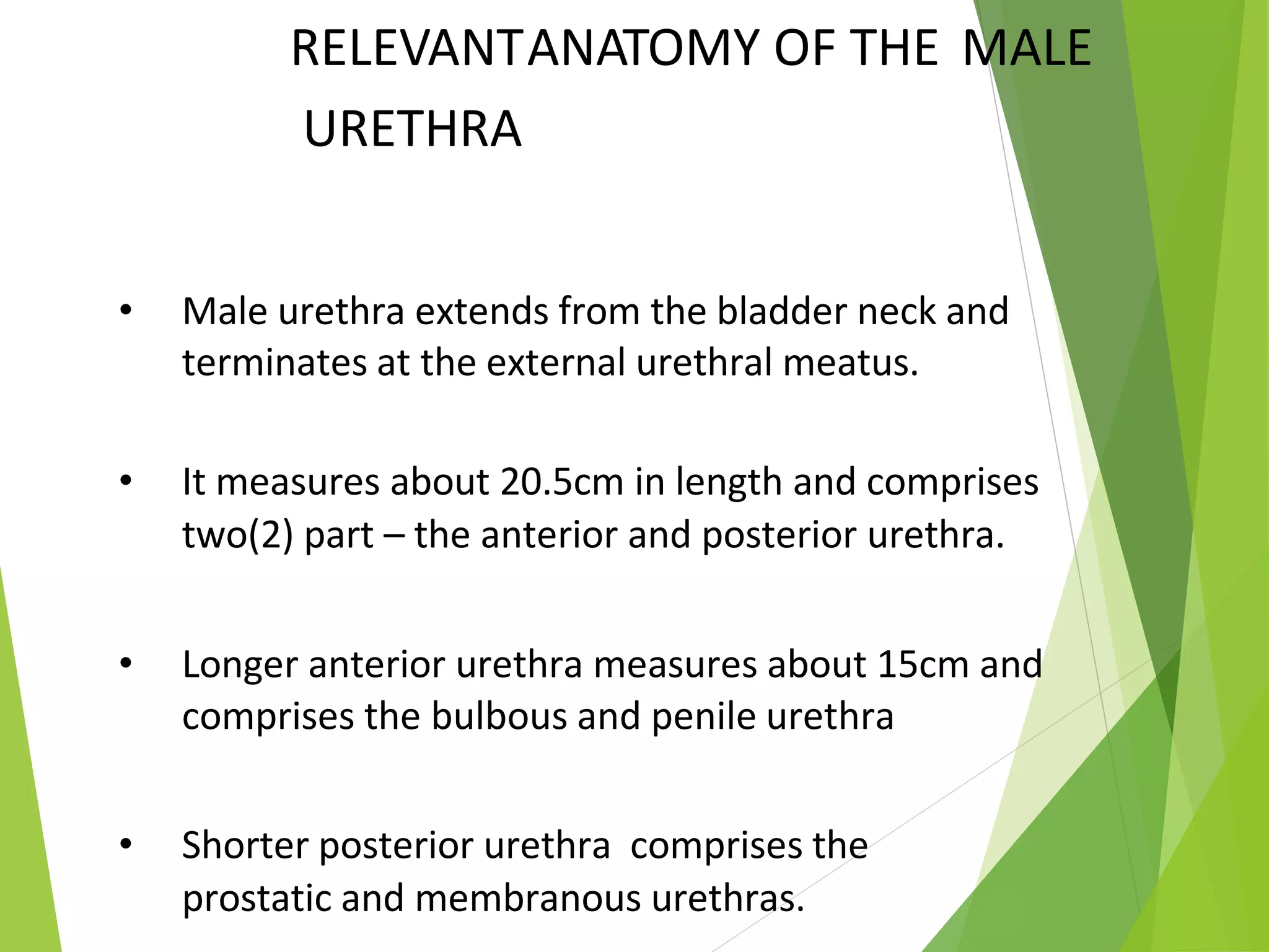 Urethral stricture.pptx