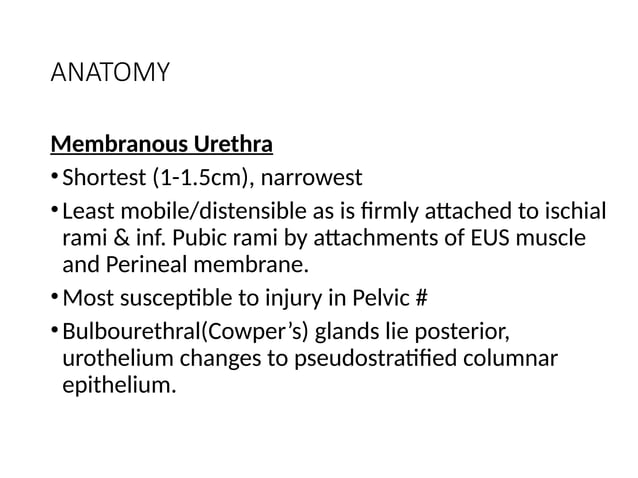 URETHRAL STRICTURE MAIN.pptxAbnormal narrowing of a segment of the ...