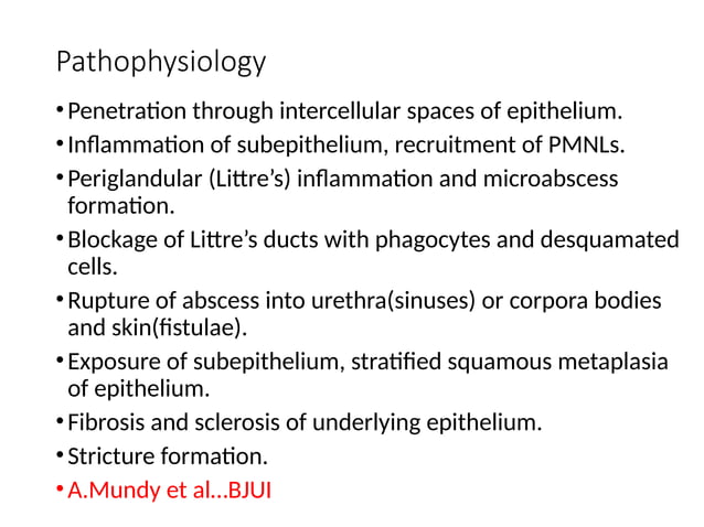 URETHRAL STRICTURE MAIN.pptxAbnormal narrowing of a segment of the ...