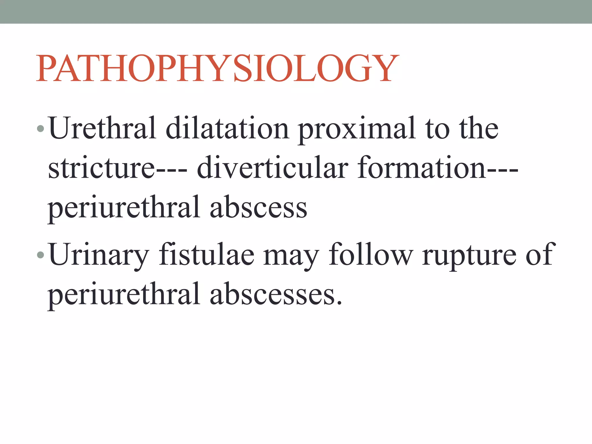 Pathology of Urethral strictures | PPTX