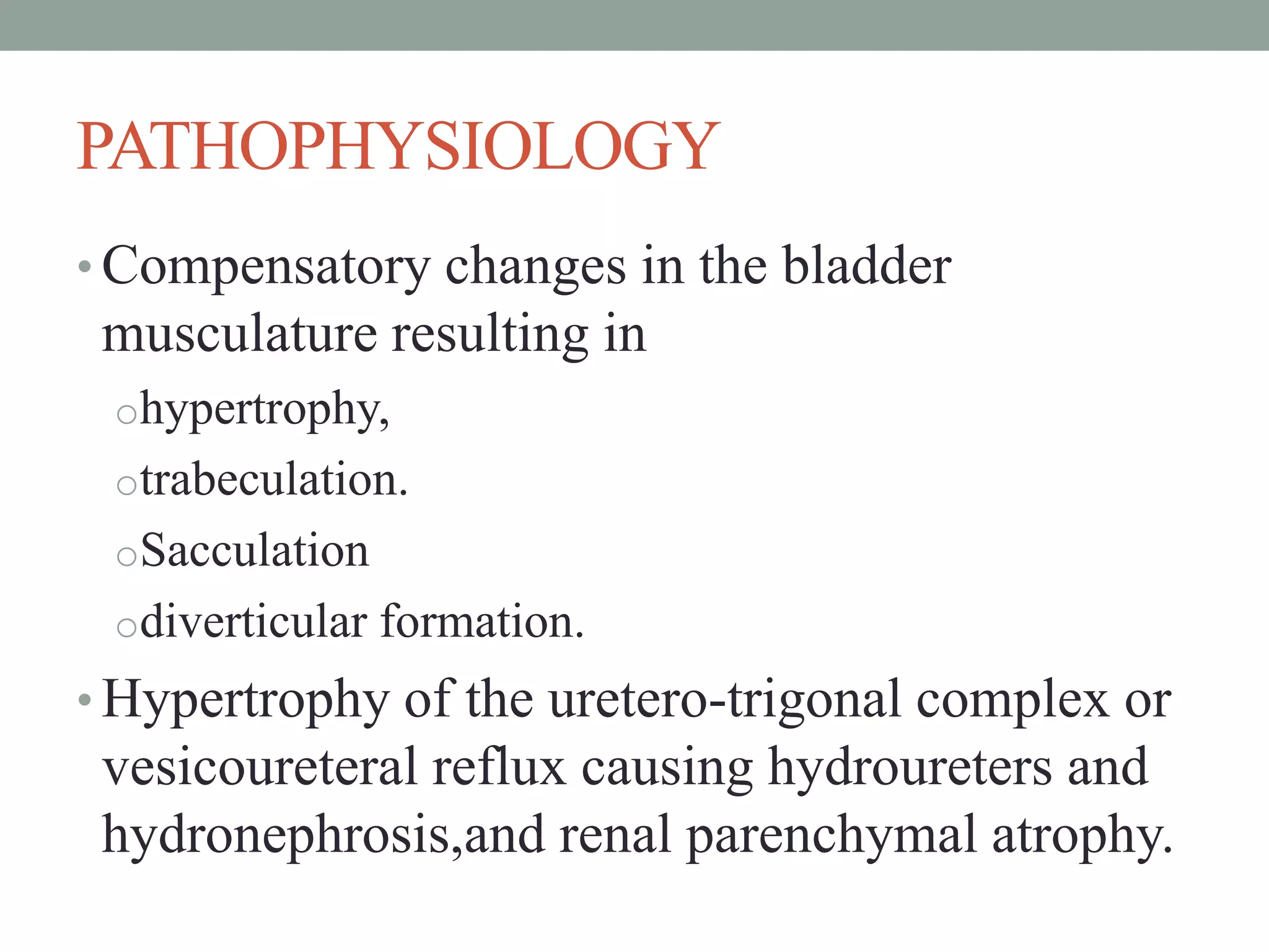 Pathology of Urethral strictures | PPTX