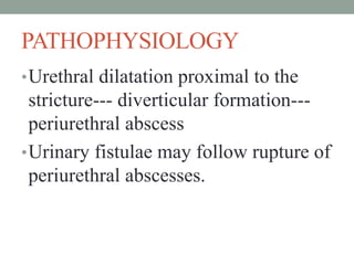Pathology of Urethral strictures | PPTX