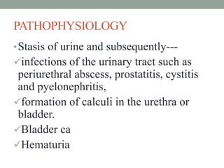 Pathology of Urethral strictures | PPTX