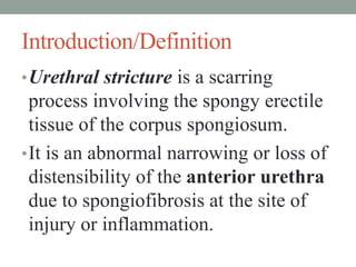 Pathology of Urethral strictures | PPTX